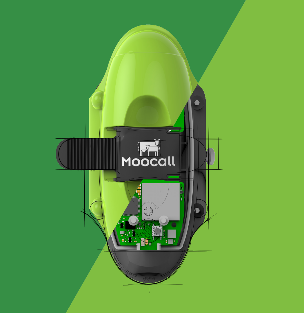 Home - Dolmen Design & Innovation