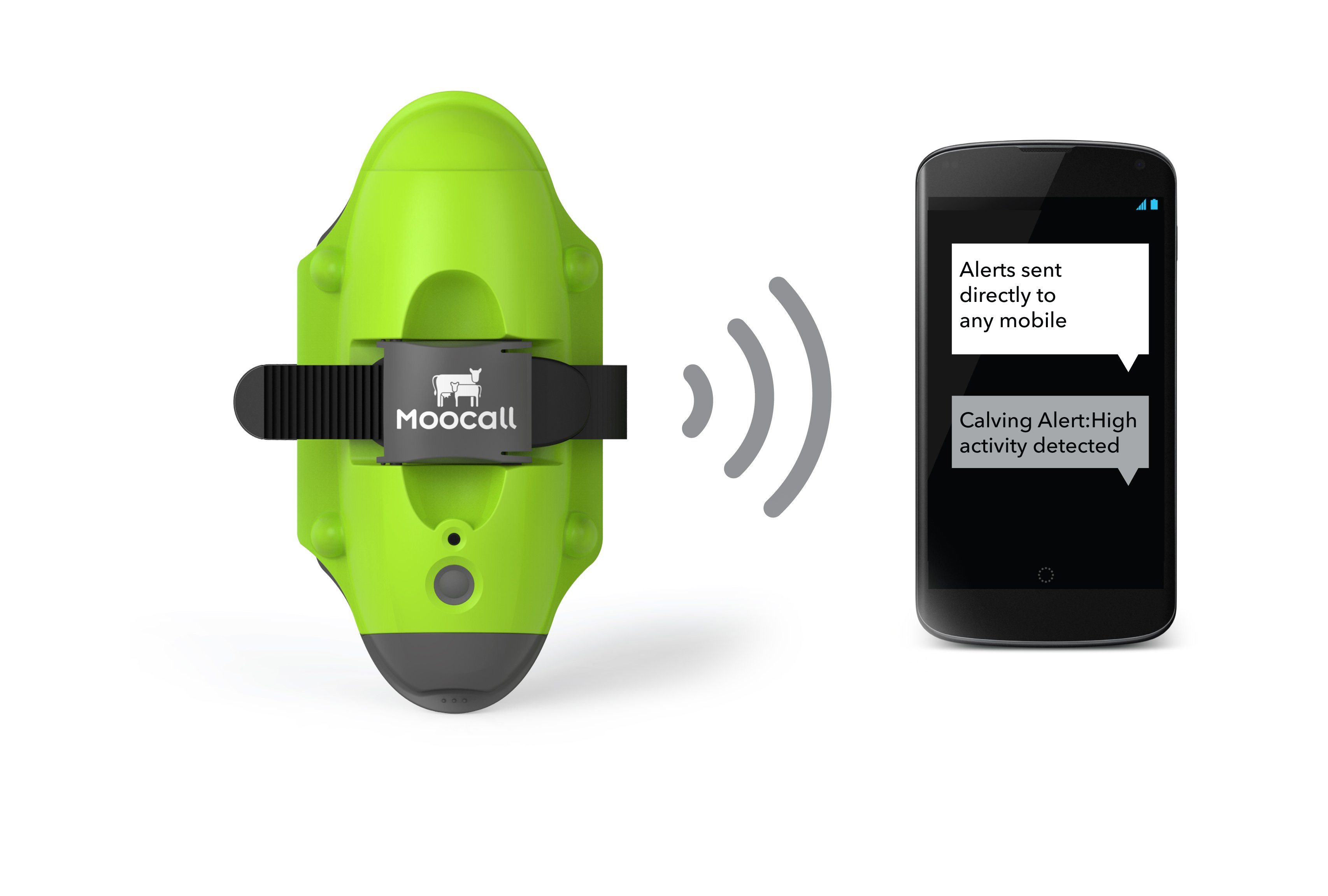 Moocall Case Study - Dolmen Design